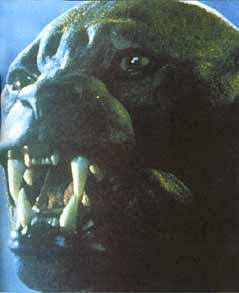 Bionic Vampire Ninja: Panther transformation from Manimal