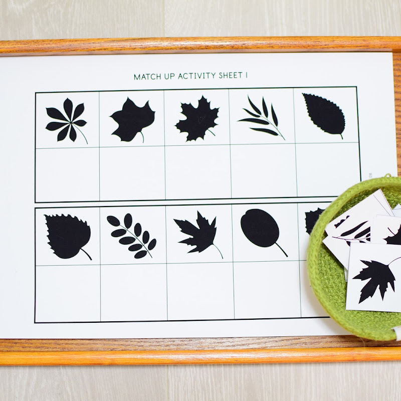 FREE Leaf Silhouettes Learning Materials | The Pinay Homeschooler