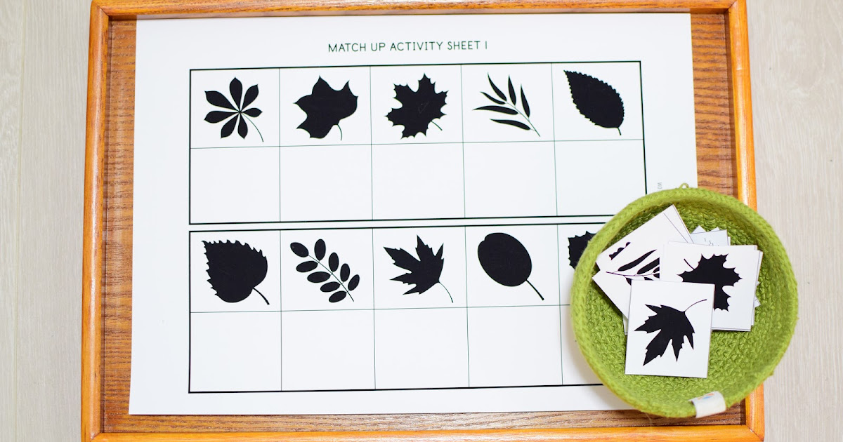 FREE Leaf Silhouettes Learning Materials | The Pinay Homeschooler