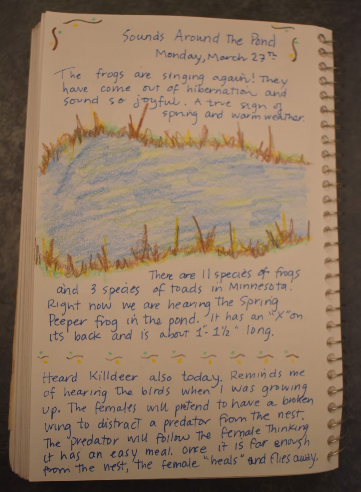 Harvest Moon by Hand: Nature Journal Entries in March: Overview ...