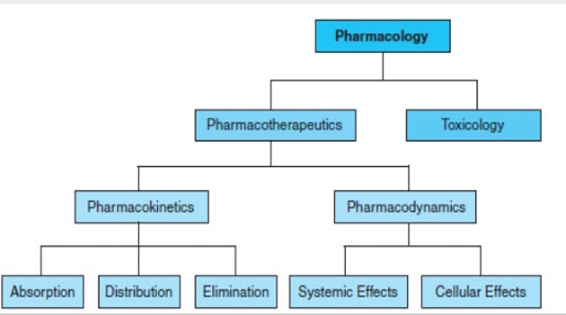 INTRODUCTION TO PHARMACOLOGY