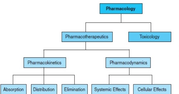 INTRODUCTION TO PHARMACOLOGY