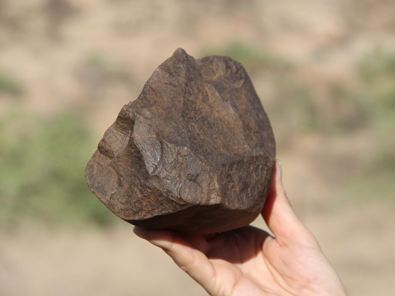 thefuzzysasquatch: Being Human 3 - Stone tool use at Lomekwi 3.3 ...