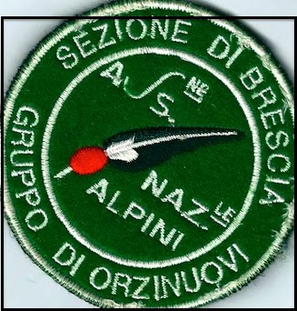 ALPINI 2014: sezionale