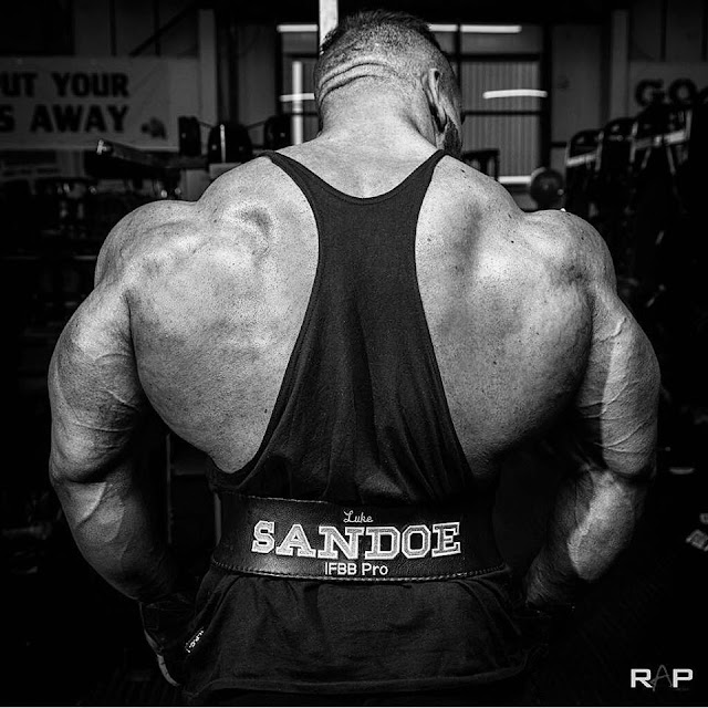 Word wide Bodybuilder Images| Best World WIde Bodybuilders