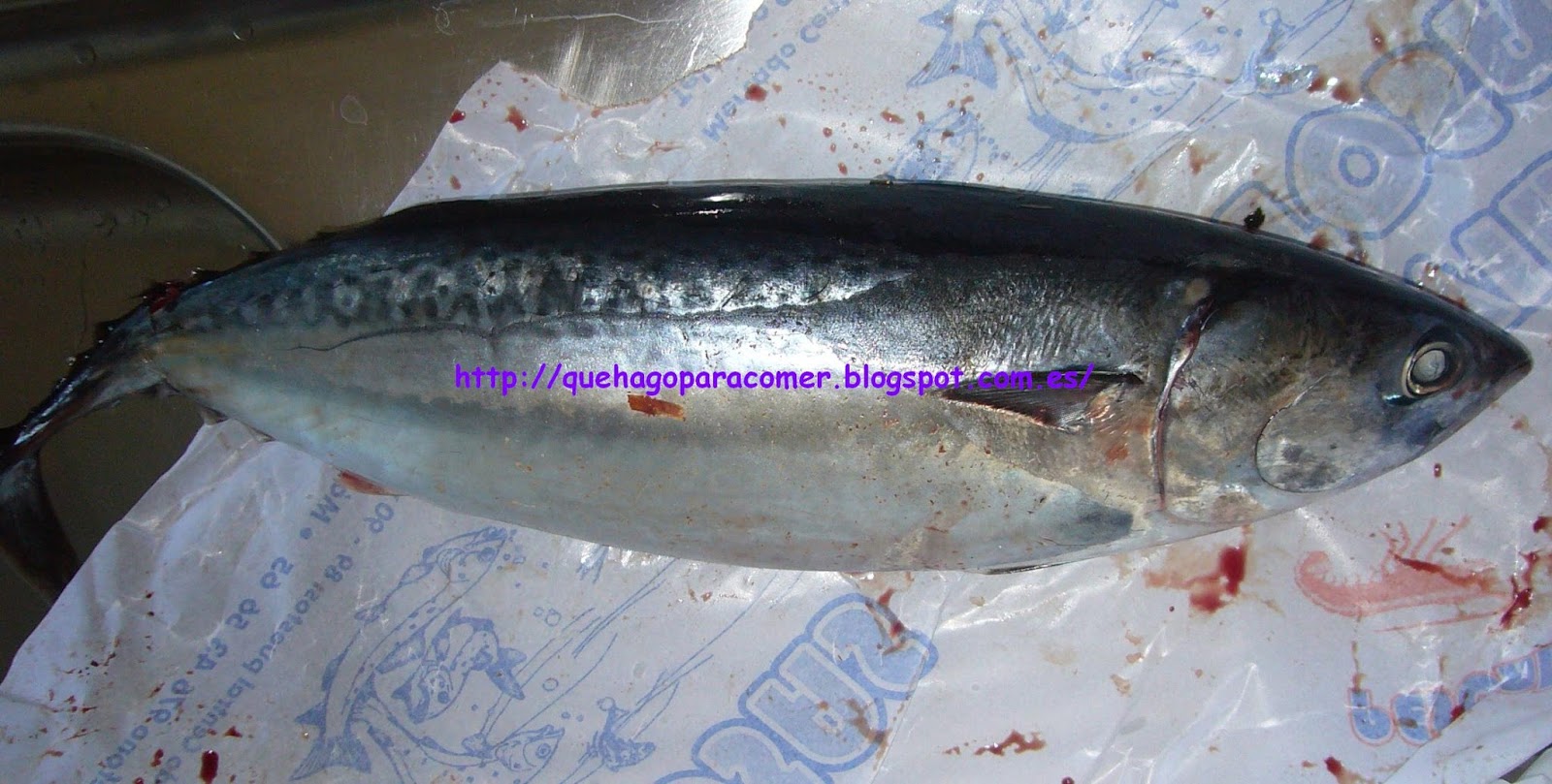 ¿QUÉ HAGO PARA COMER?: MELVA CANUTERA EN SALAZÓN