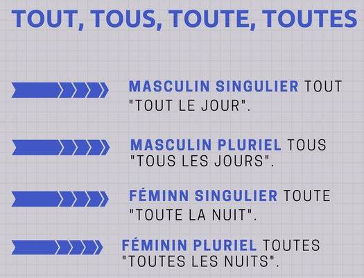 Apprenons le français : Tout, tous, toute, toutes
