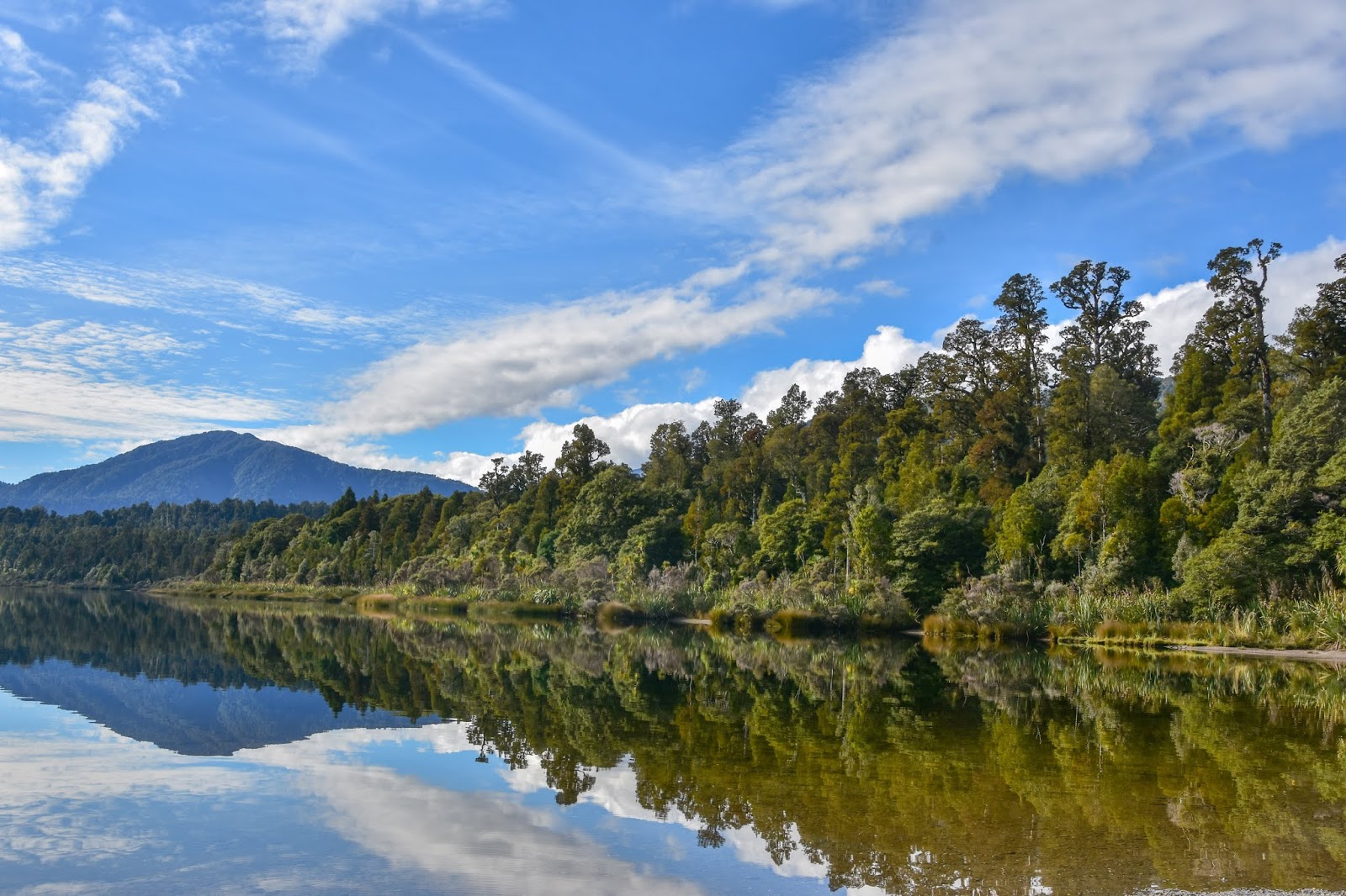 Paws Awhile: Lake Paringa