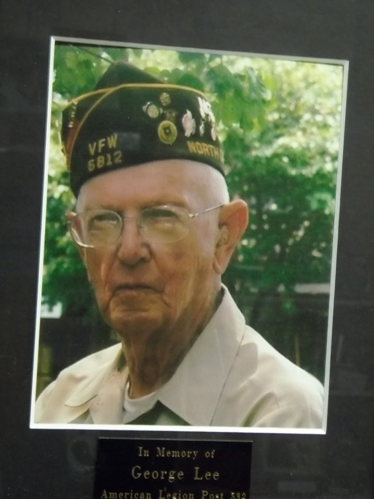 Blue Ridge Poet: VETERAN'S DAY EXHIBIT