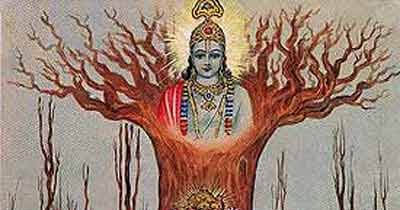 Meaning Of Inverted Tree Concept in Hinduism - Inverted Tree Of Life ...