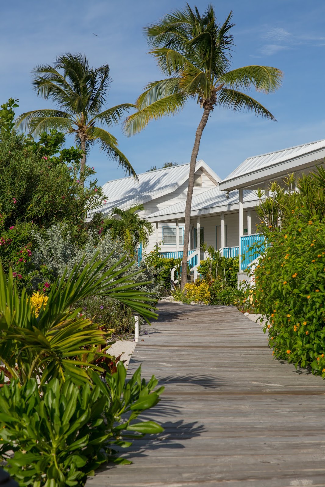 Alice Gostick: Things to do in Grand Cayman - Visit Little Cayman