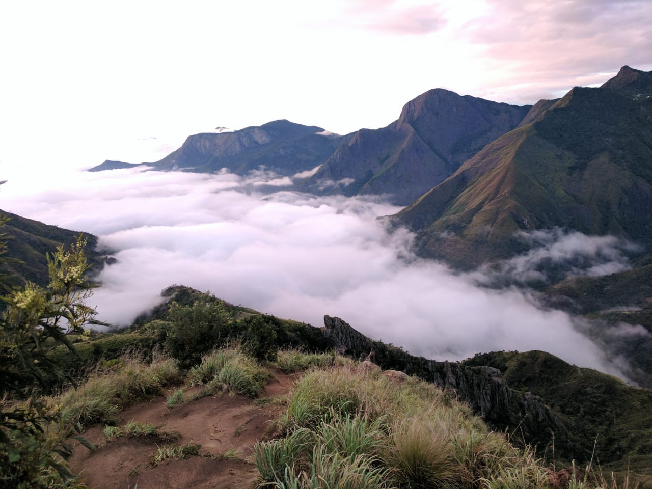 Beauty of Munnar, Kerala