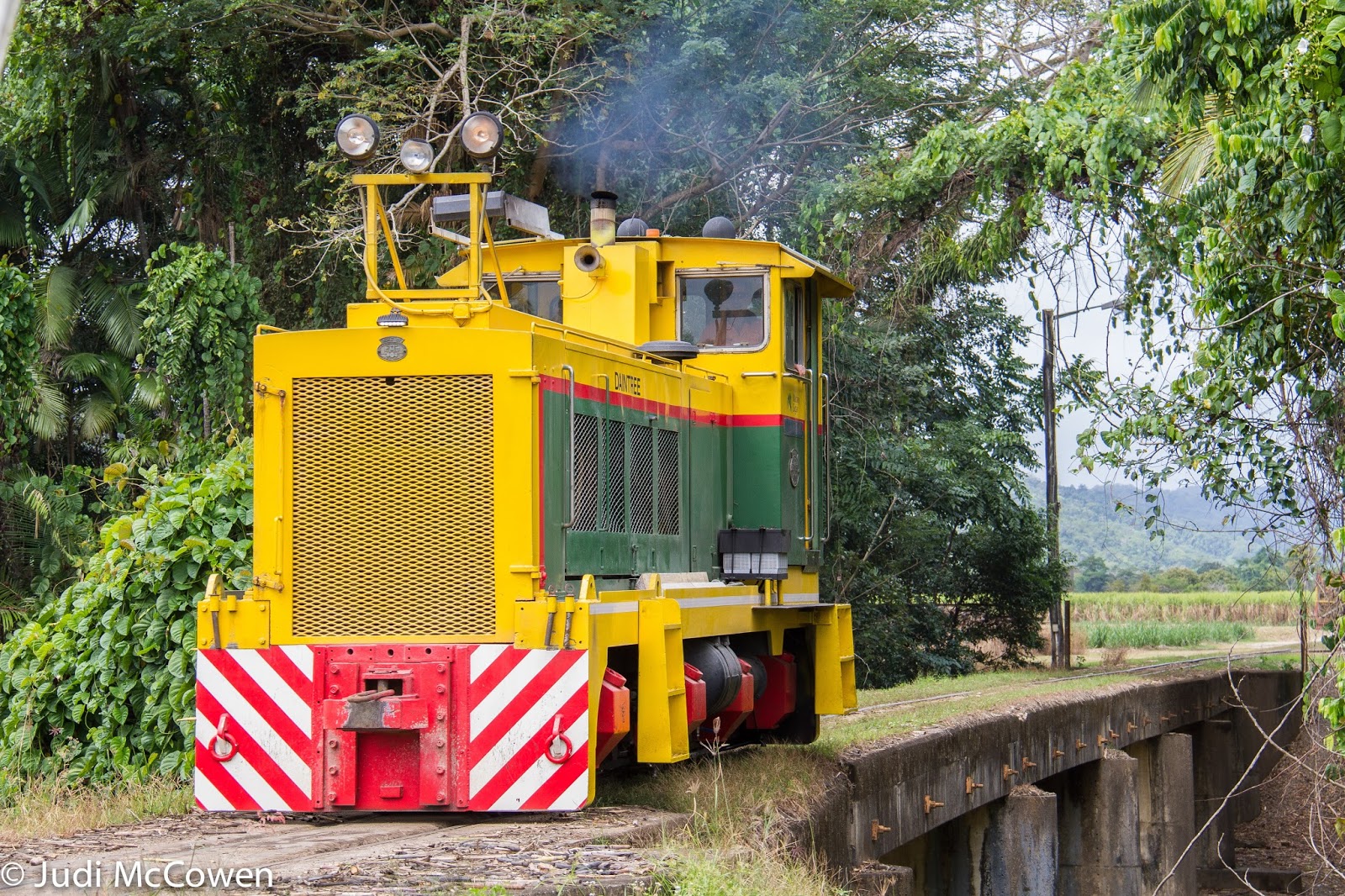 JUstDreamInparadise: Cane Trains