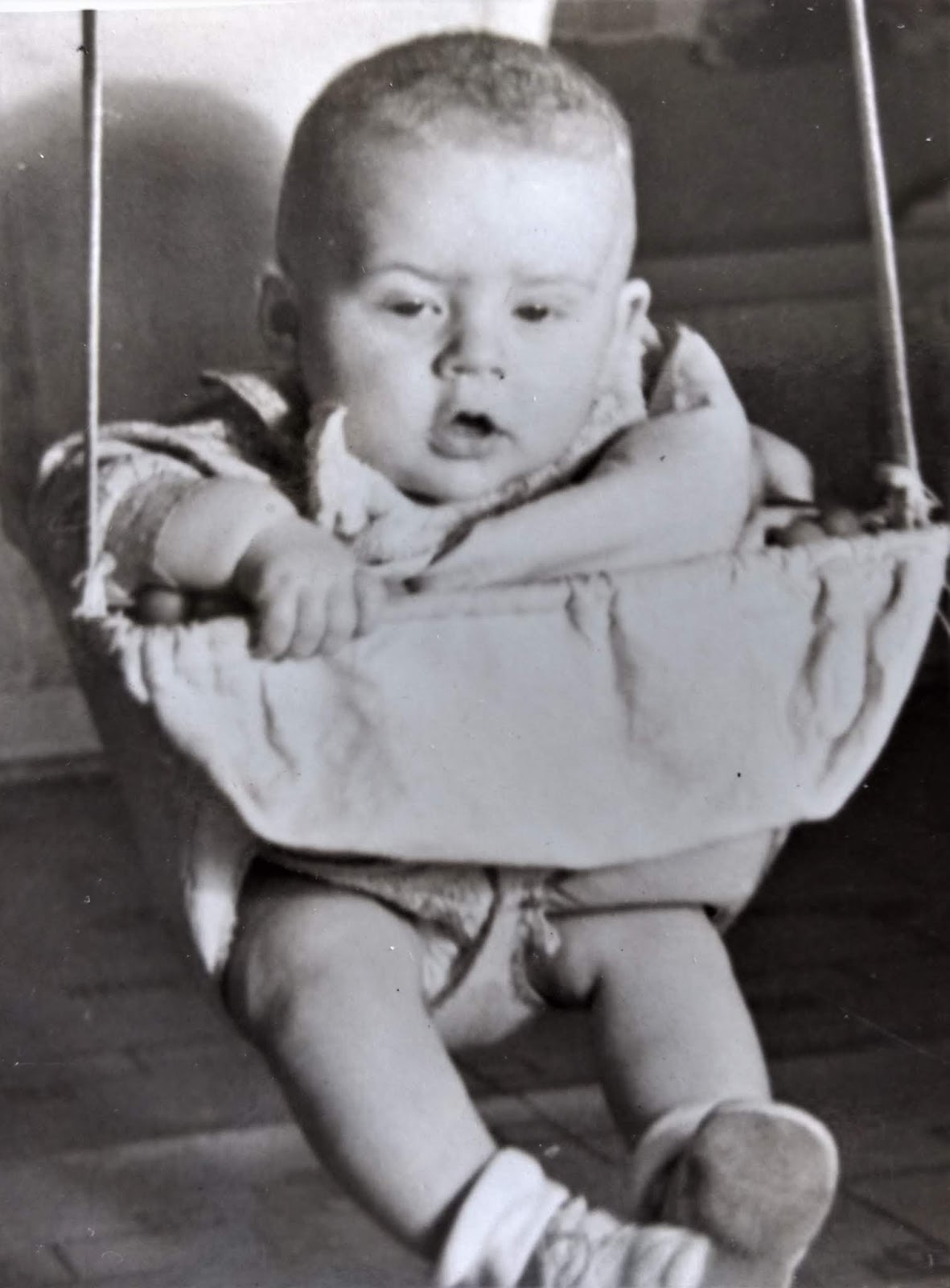 Leaves on the Raney Tree: Junice Vivian Moe Raney (1916-2012)