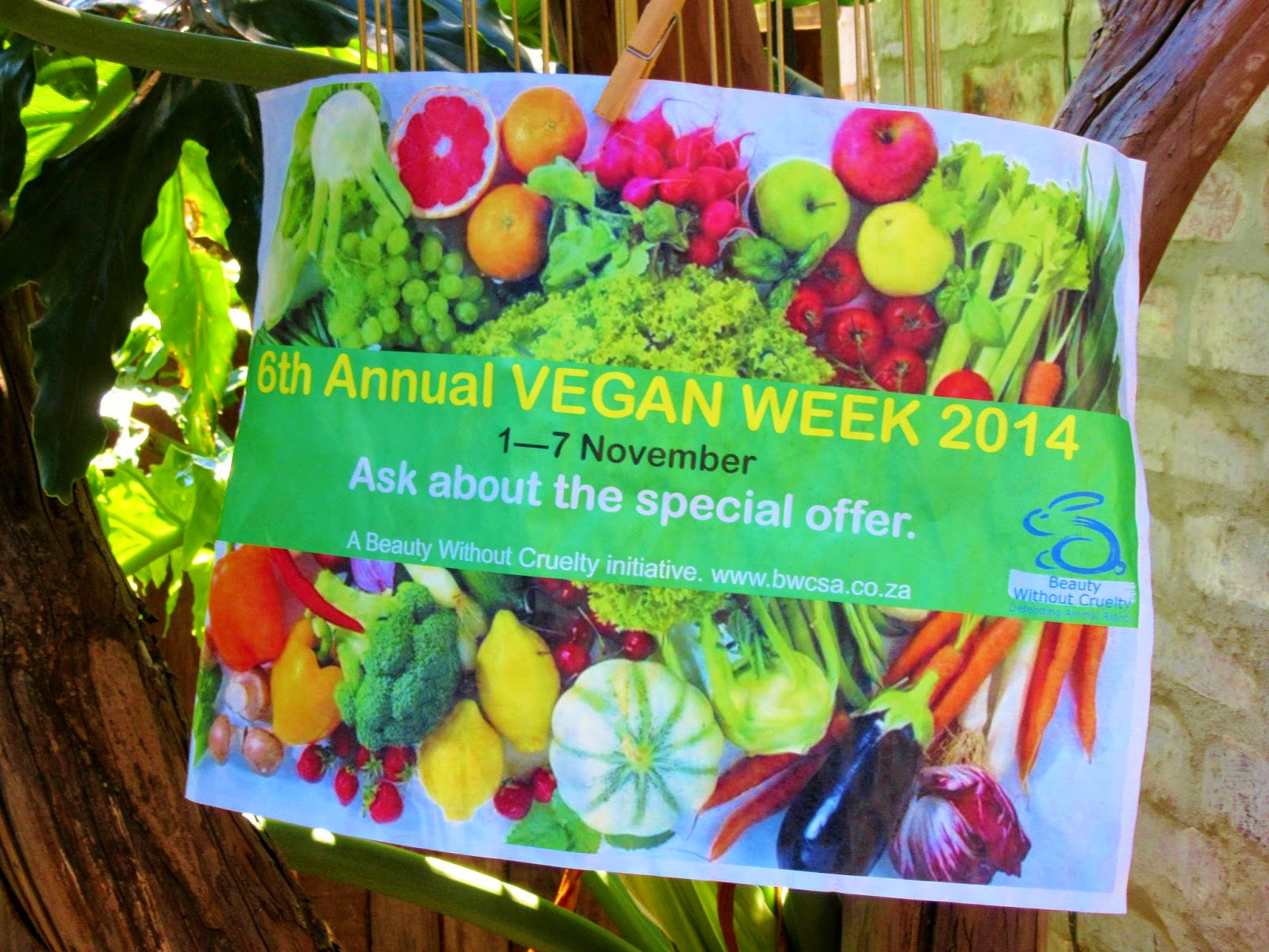 The Great Wildebeest Migration: Happy Vegan Week!