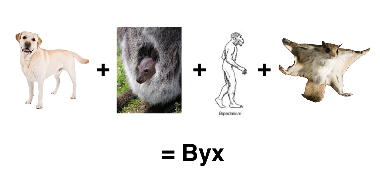 Endling: The First by Katherine Applegate