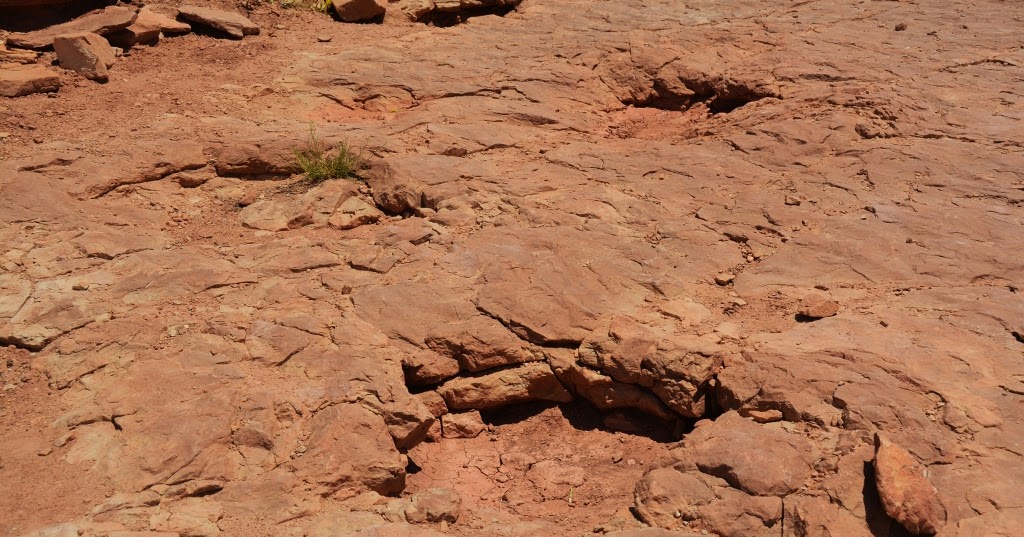 Ex-Full-Time RVer: Copper Ridge Dinosaur Trackways