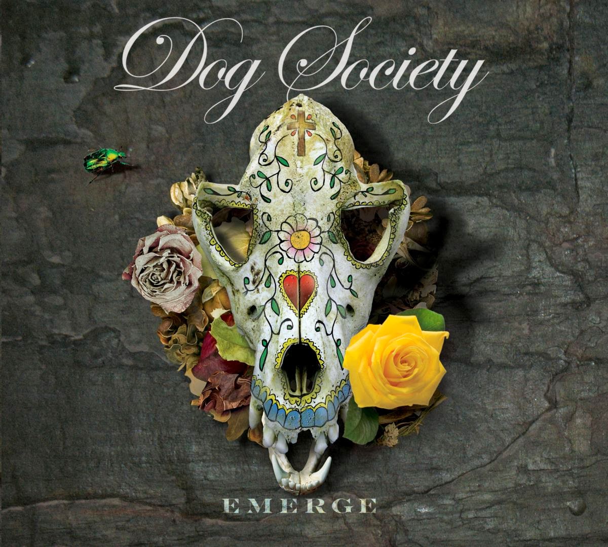 Dog Society's Back and Better Than Ever Before | NataliezWorld