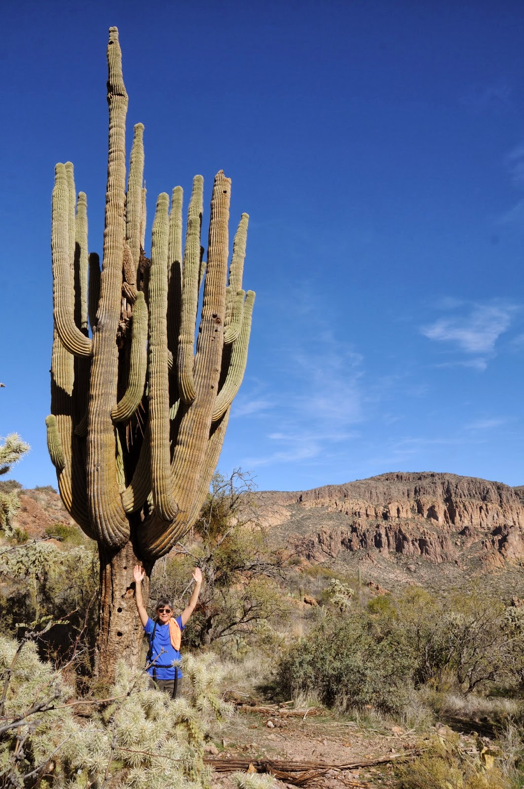 Arizona Hiking: GIANT SAGUARO HIKE