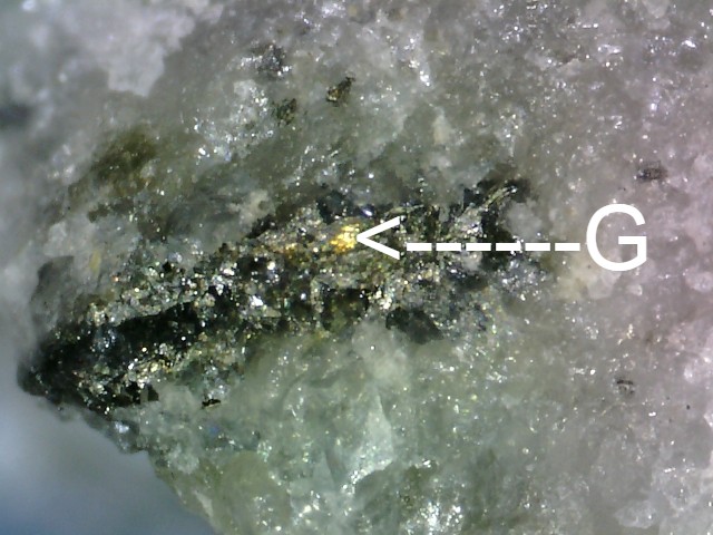 CSMS GEOLOGY POST: COLORADOITE, STEGOSAURUS, AND THE COMPROMISE OF 1877 ...