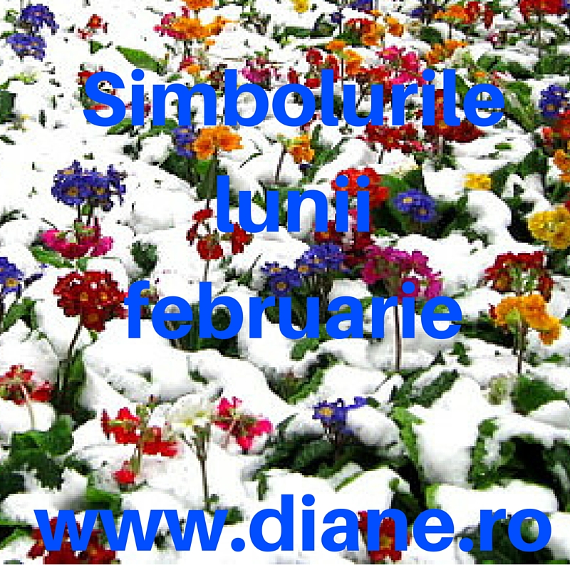 Simbolurile lunii februarie - diane.ro