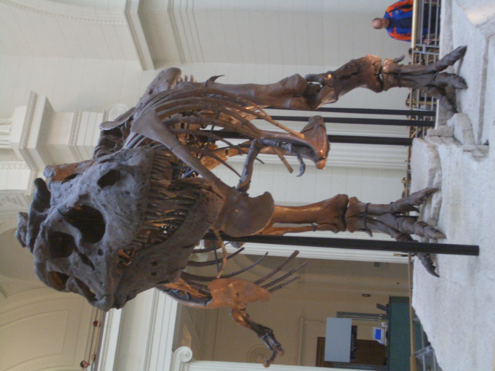 Discovering Darwin: Season 1 Episode 10: Chapter X - On the ...