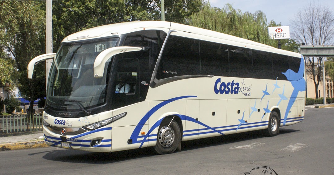 MAXIBUSES: COSTA LINE