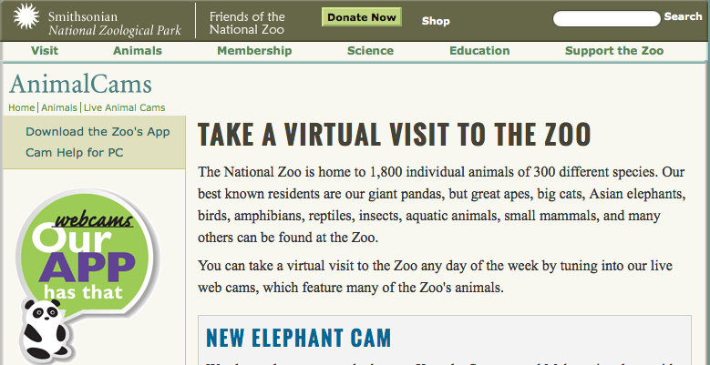 Two Techie Teachers: A Digital Zoo Gone Wild!