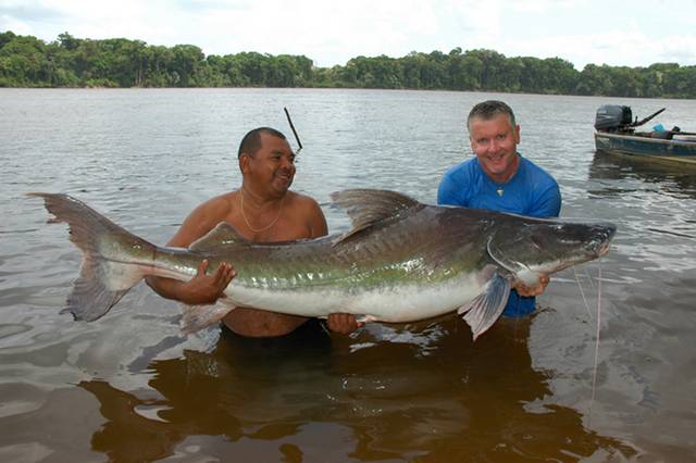 Great Discoveries: 10 Terrifying Killer Fish