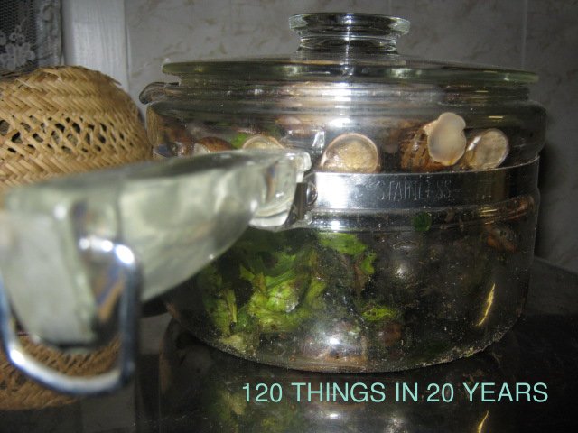 120 things in 20 years: Snail farming - sophisticated snail breeding ...