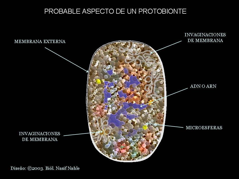 ¿Entiendes la ciencia?