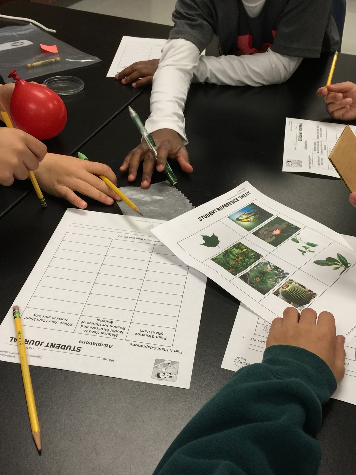 The 4th Grade May-niacs: Plant and Animal Adaptations