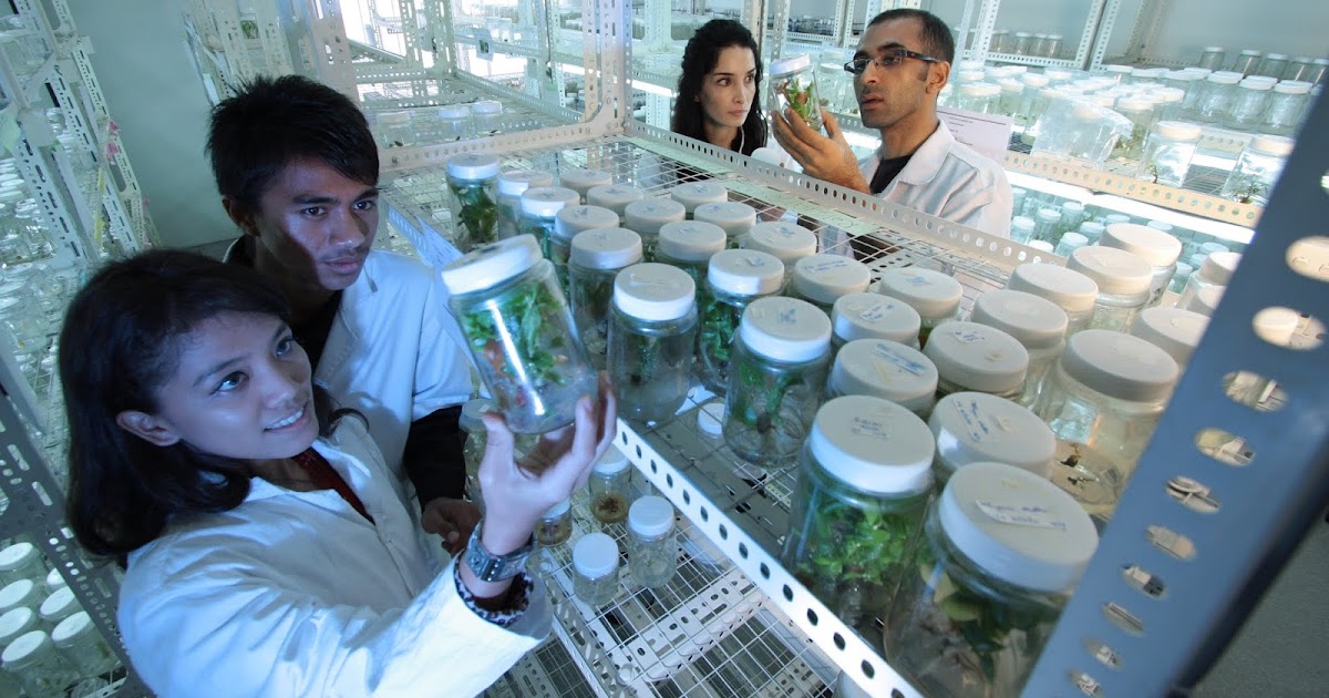 Biotechnology Future in India and Scope in Gujarat | Biotech. Colleges ...