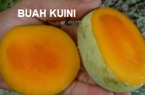 Anim Agro Technology: BUAH KUINI - SATU FAKTA