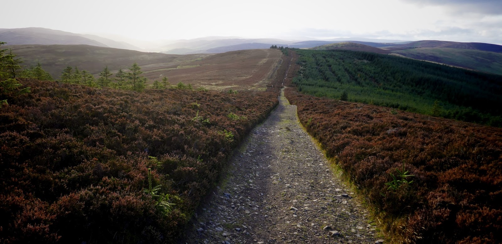 best part of the day: Tweed Valley Ultra Recce and Oct TB