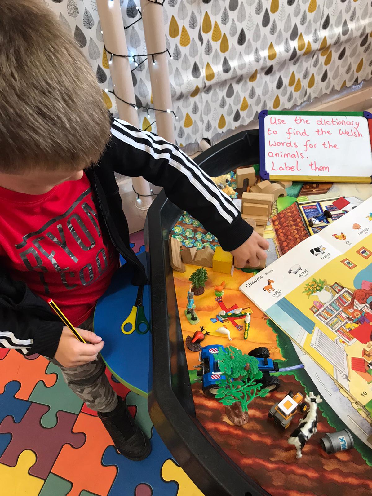 Welsh Activities: Diwrnod Shwmae