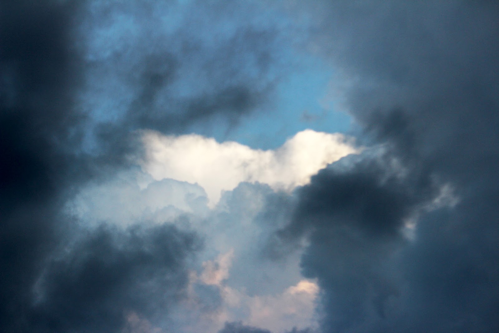 20+ Royalty Free Images | 20+ Free Images Download | 20+ Free Images No ...