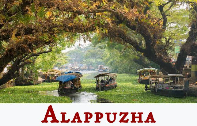 Alappuzha