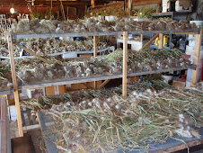 WeeBee Farms: How To Plant Garlic