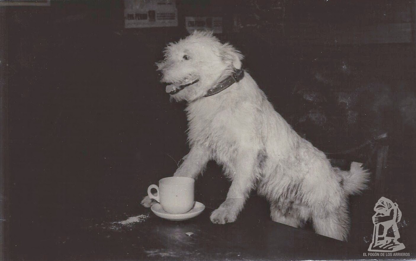 Monumentos y Lugares Historicos De Resistencia - Chaco: El Perro Fernando