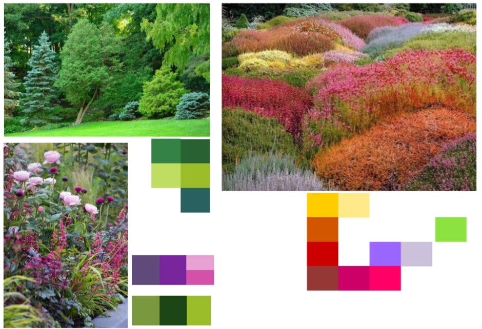 Variaciones del color para decorar con plantas - Verdecover