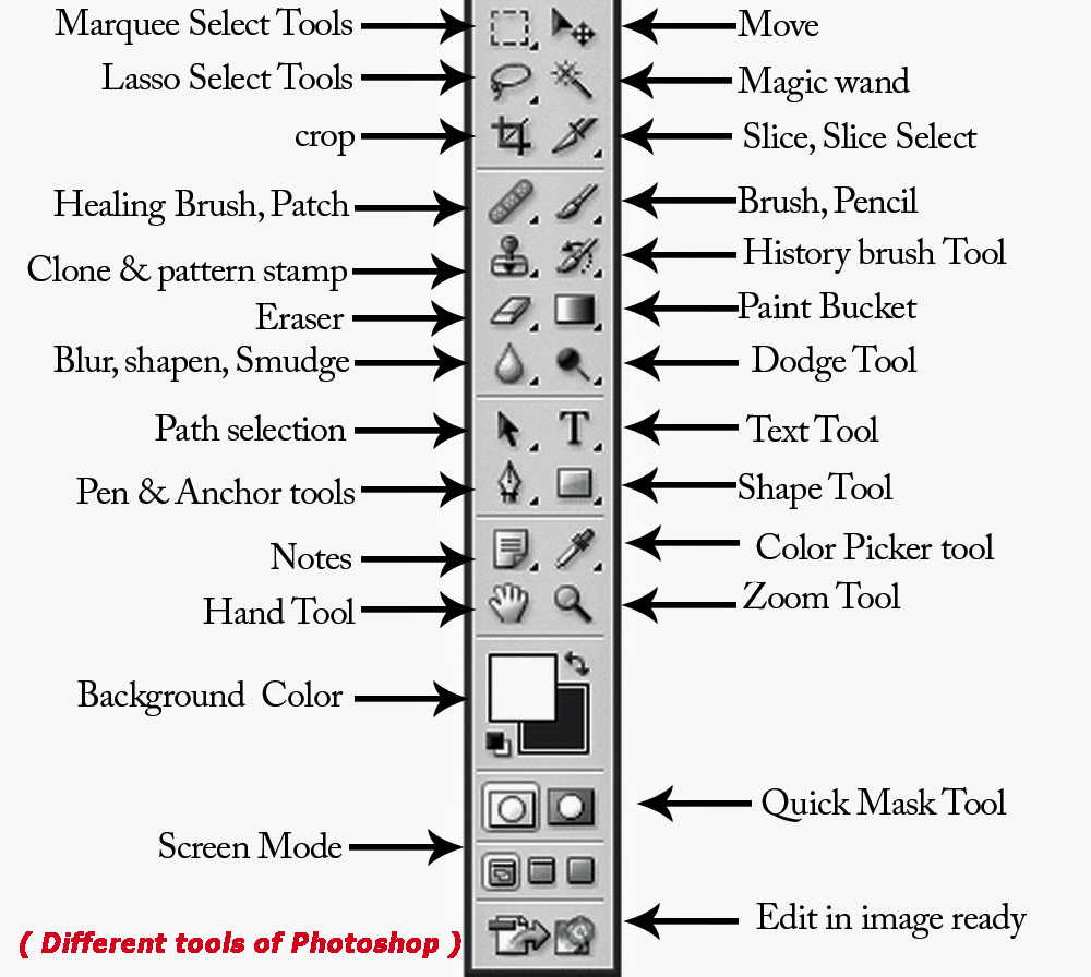 About Computer Graphics & Photo Editing Software. (Part 1) - All Round ...