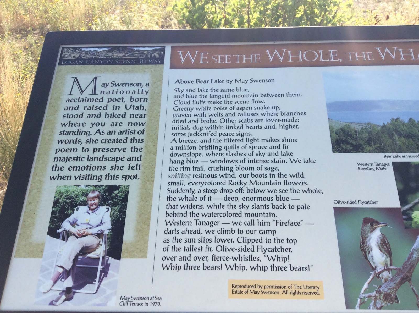 Wilhelm's Thoughts: Poetry I Like: Above Bear Lake by May Swenson