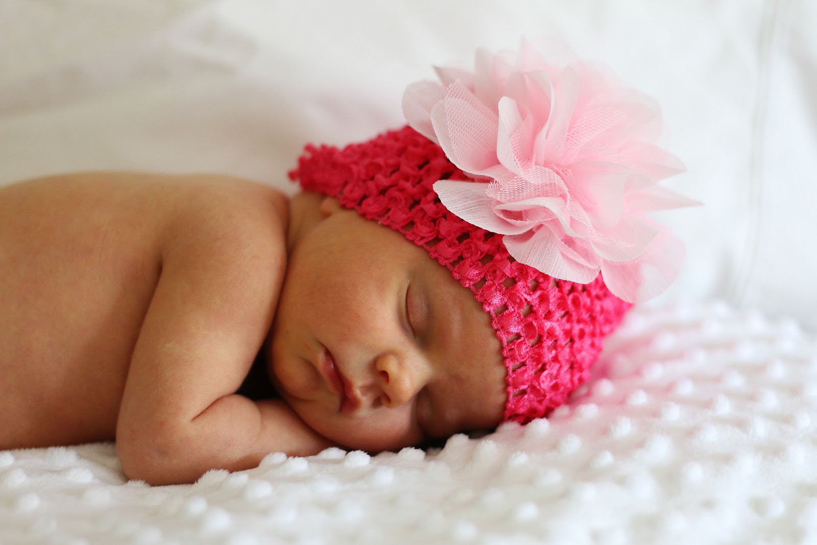 moxie made: boger family - sneak peek!