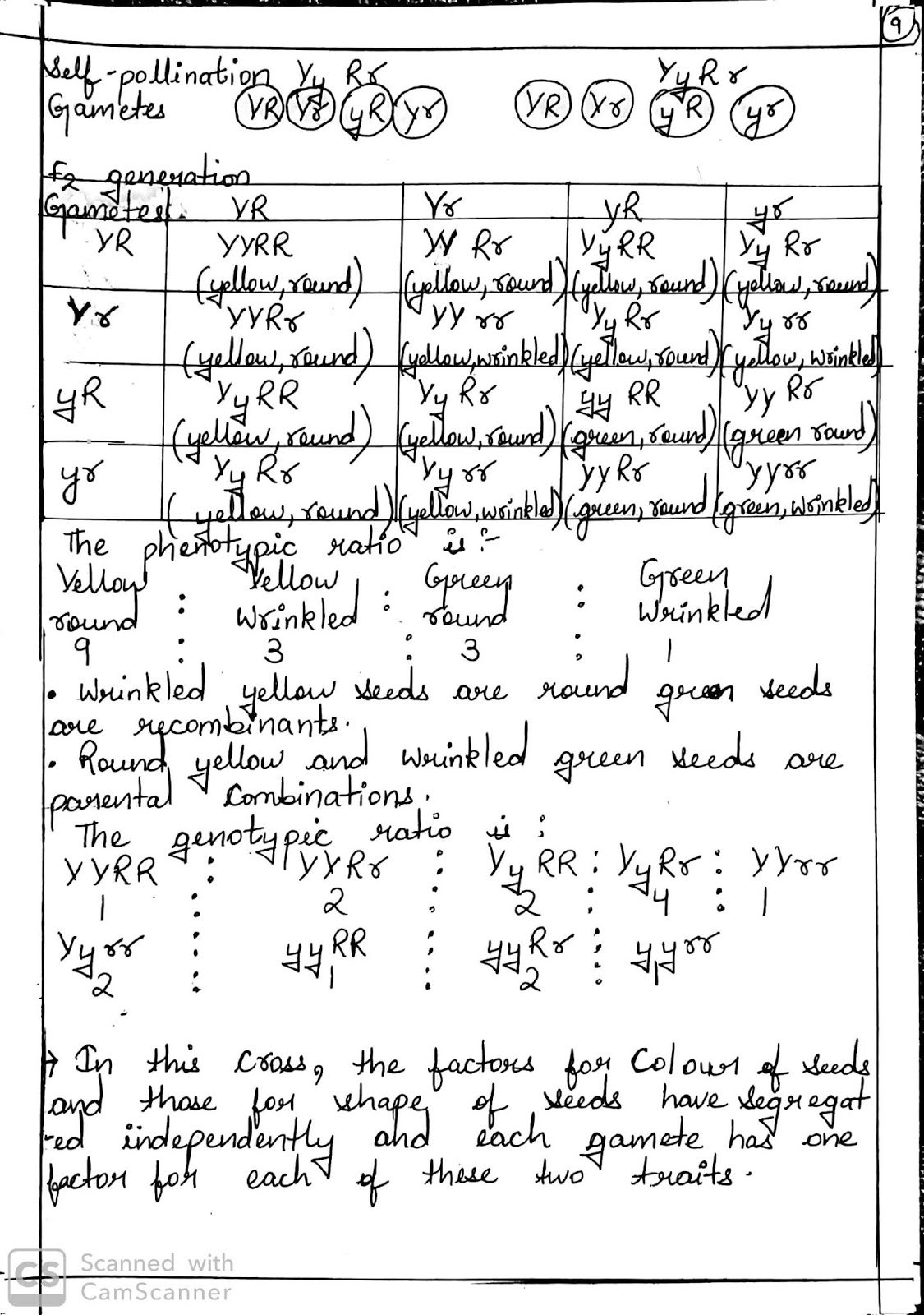 Principle of Inheritance and Variation Handwritten Notes for 12th Biology