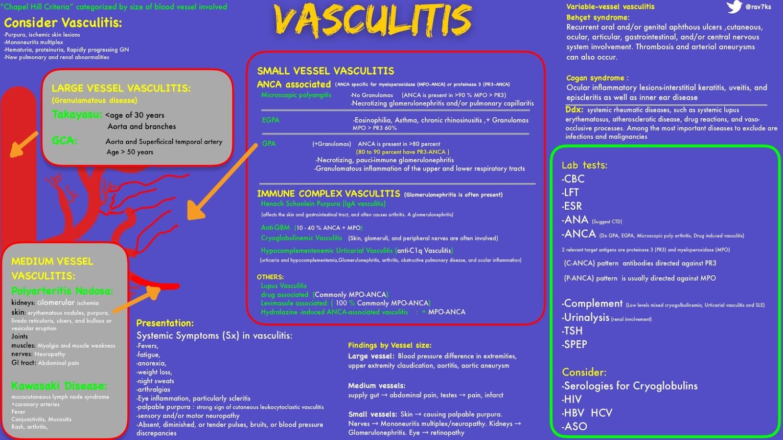 Vasculitis - Cheat Sheet