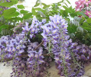 Flutterby Patch: May 2011