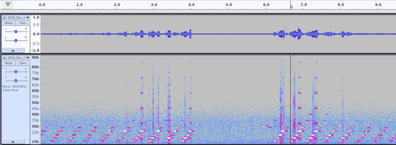 Captain Bodgit: the Dodotronic UltraMic: first impressions