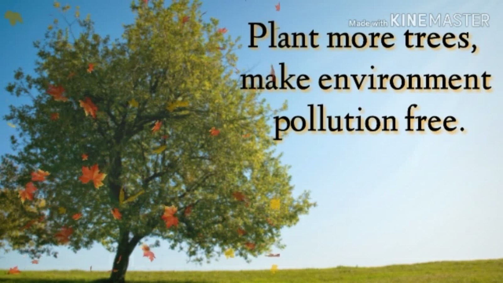 AllaboutLearningByGagzCreations: 10 Slogans on SAVE TREES in English