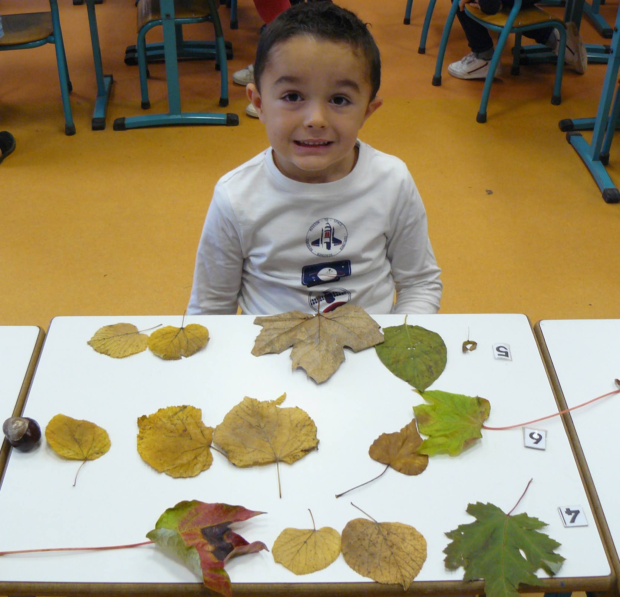 Ecole Ste Marie: L'automne en GS